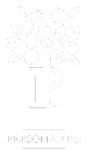 Persona Pro